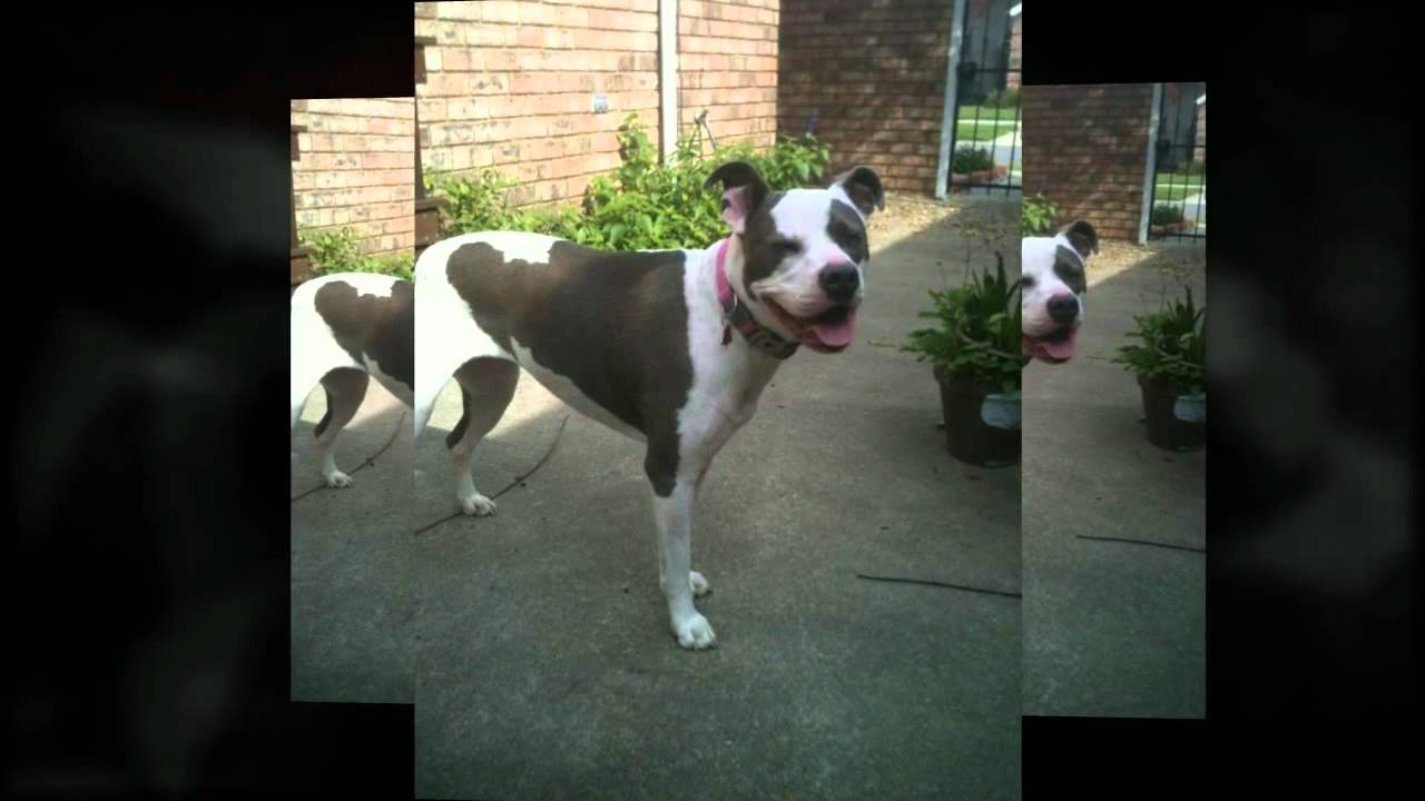 Olive • Personality! - YouTube