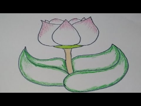 cara menggambar bunga tulip//gambar bunga tulip - YouTube
