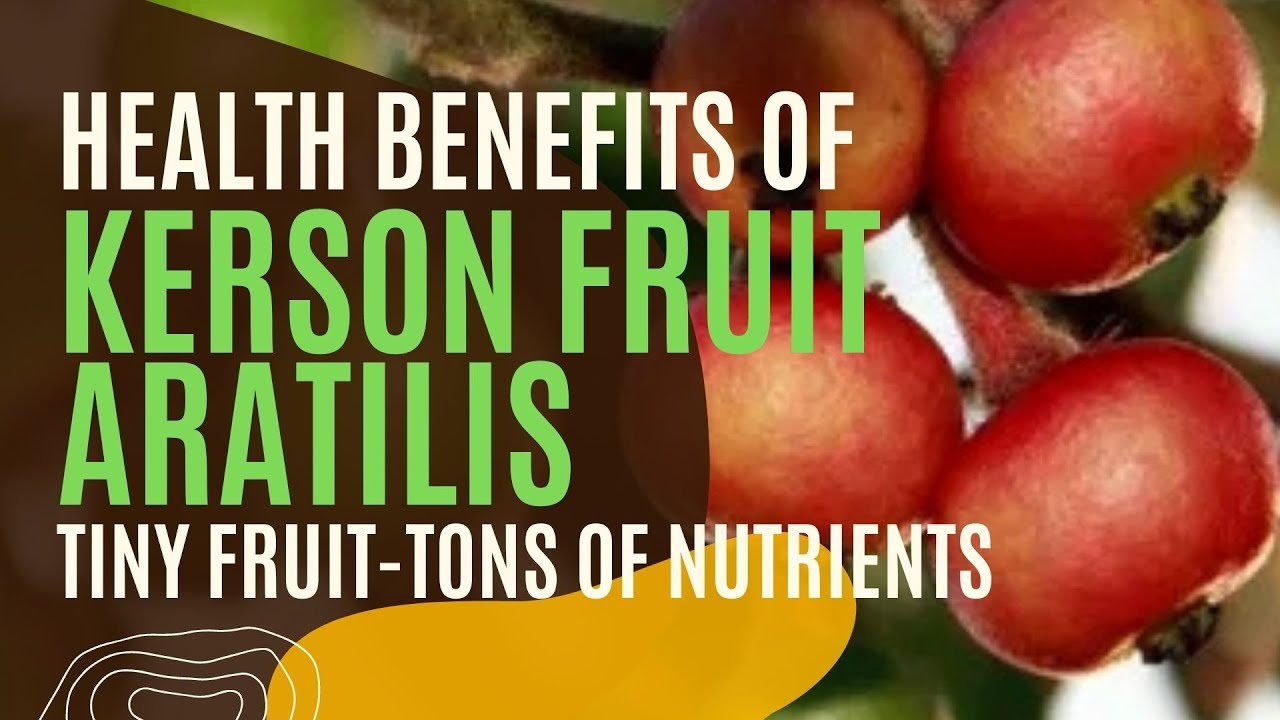 KERSON FRUIT HEALTH BENEFITS | ARATILIS | JAMAICAN CHERRY | BOLANIA ...
