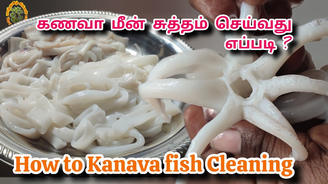 கணவா மீன் சுத்தம் செய்வது எப்படி? / Kanava Fish cleaning in Tamil ...