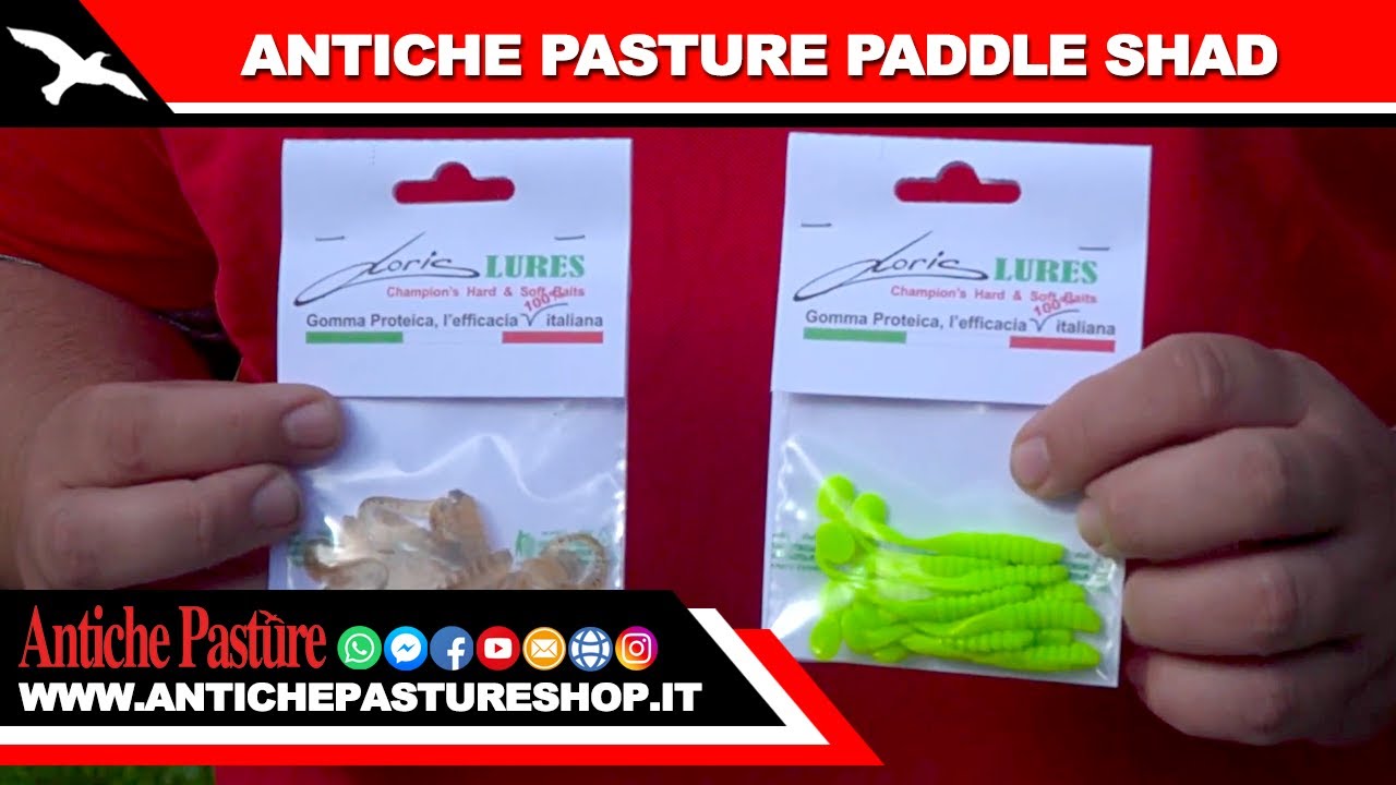 ANTICHE PASTURE E LUCA POZZOLI - PADDLE SHAD - YouTube