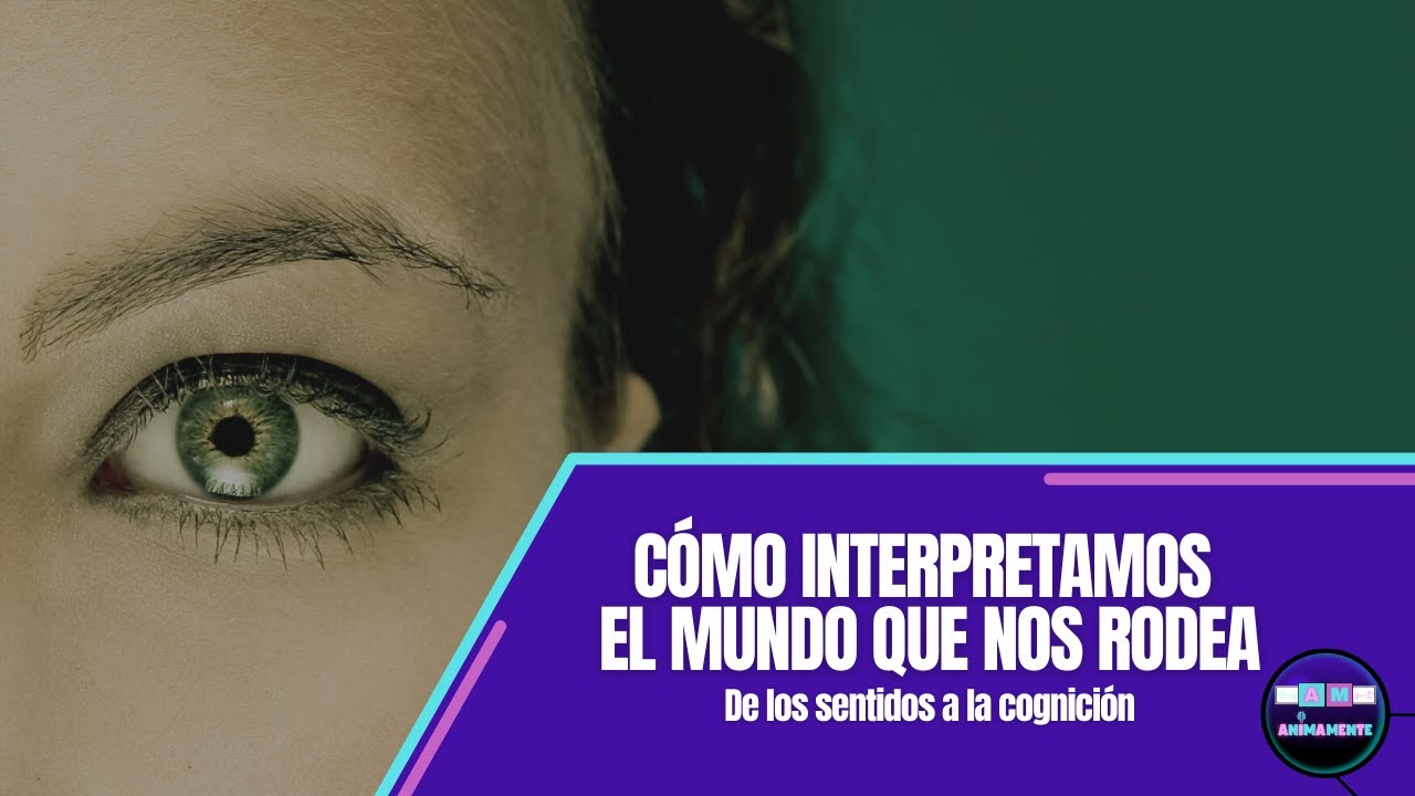 CÓMO INTERPRETAMOS EL MUNDO QUE NOS RODEA: de los sentidos a la ...