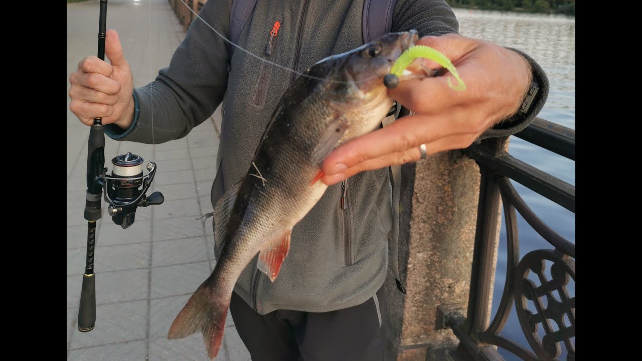 Sarkandaugava - YouTube