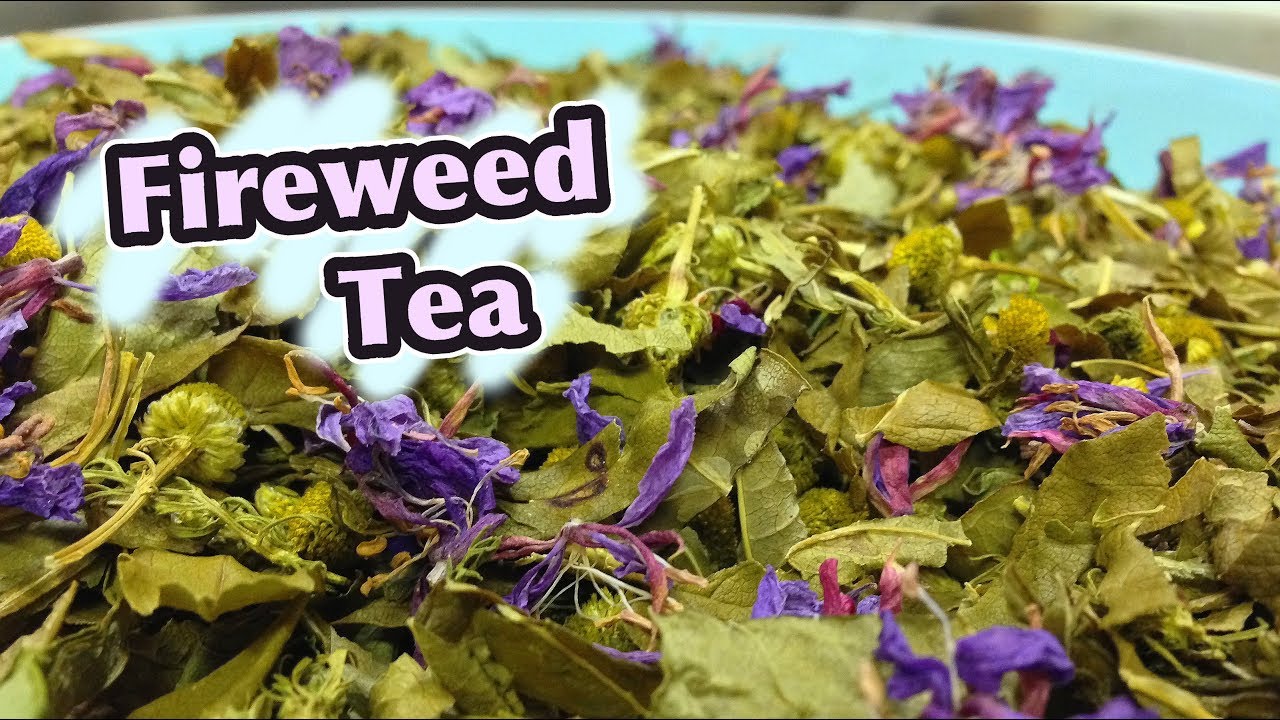 Alaskan Wild Tea - YouTube