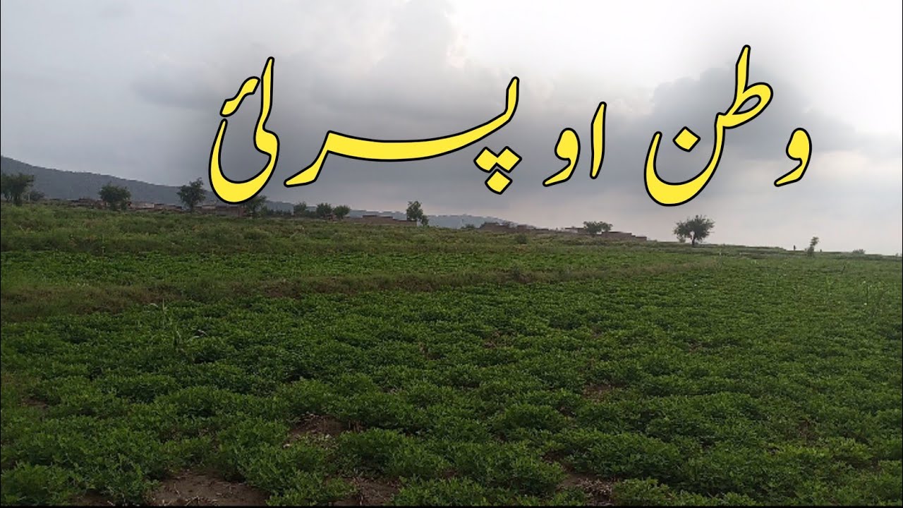 Gurguri village | Karak | Khyber pakhtunkhwa - YouTube