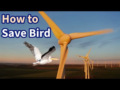 How technology is saving birds at wind farms - YouTube