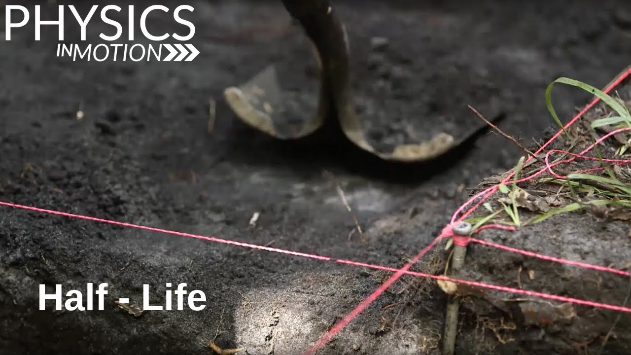 What Is a Half - Life? | Physics in Motion - YouTube