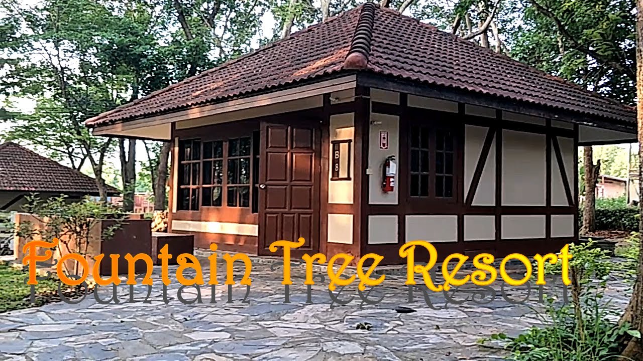 @fountain tree resort #forest #resort #relaxation #travel #trip - YouTube
