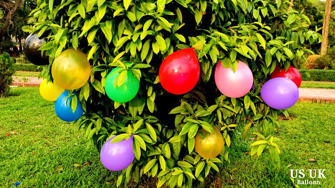 balloon pop | 245 | The balloon is caught in the tree - YouTube