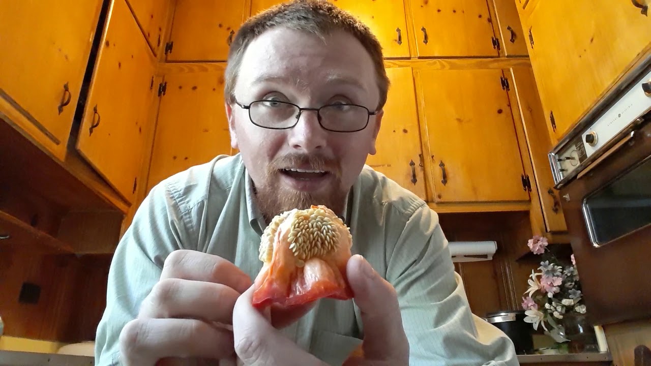 Mr. B Science Lab gallon greenhouse - YouTube