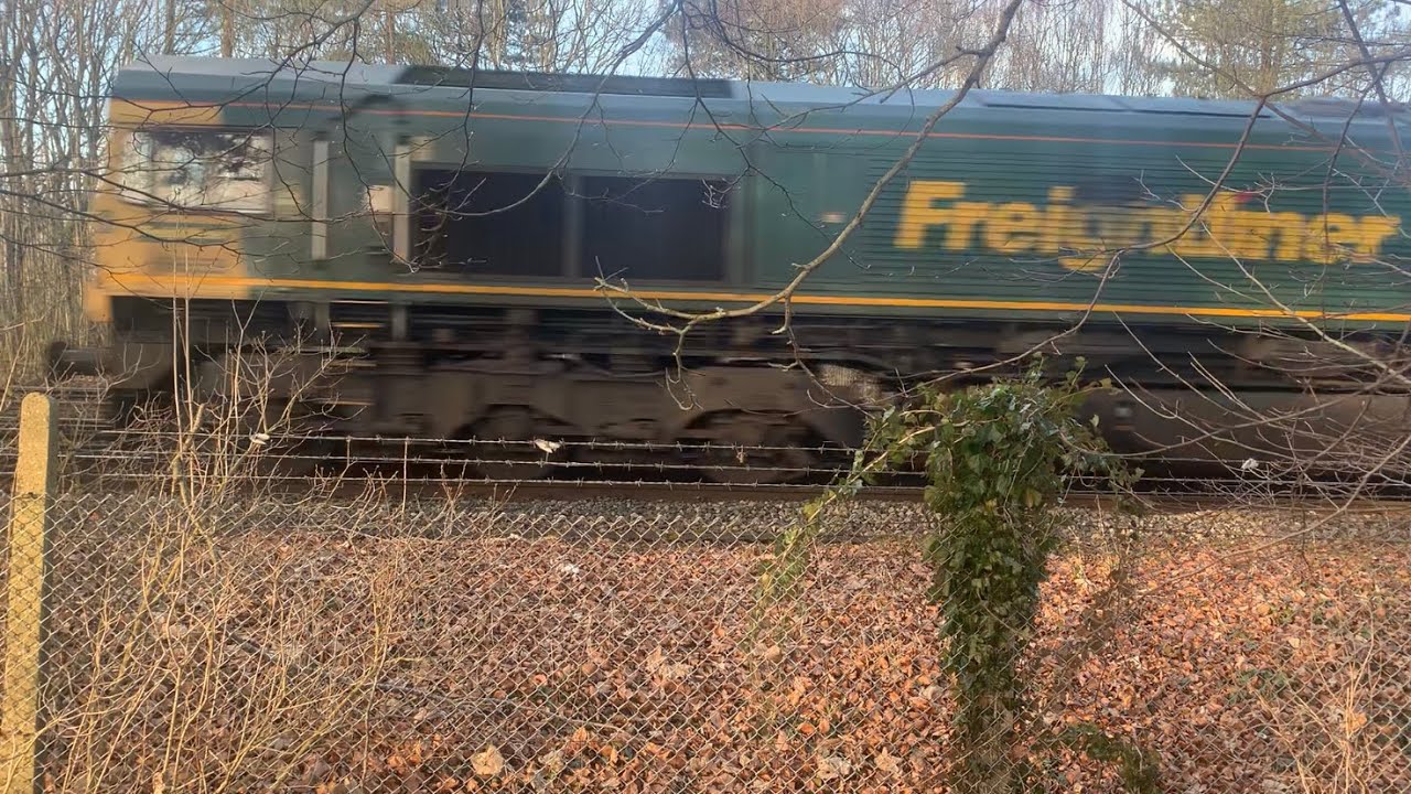 Class 66 | 66559 | Freightliner | Milestones Museum | 14/02/23 - YouTube