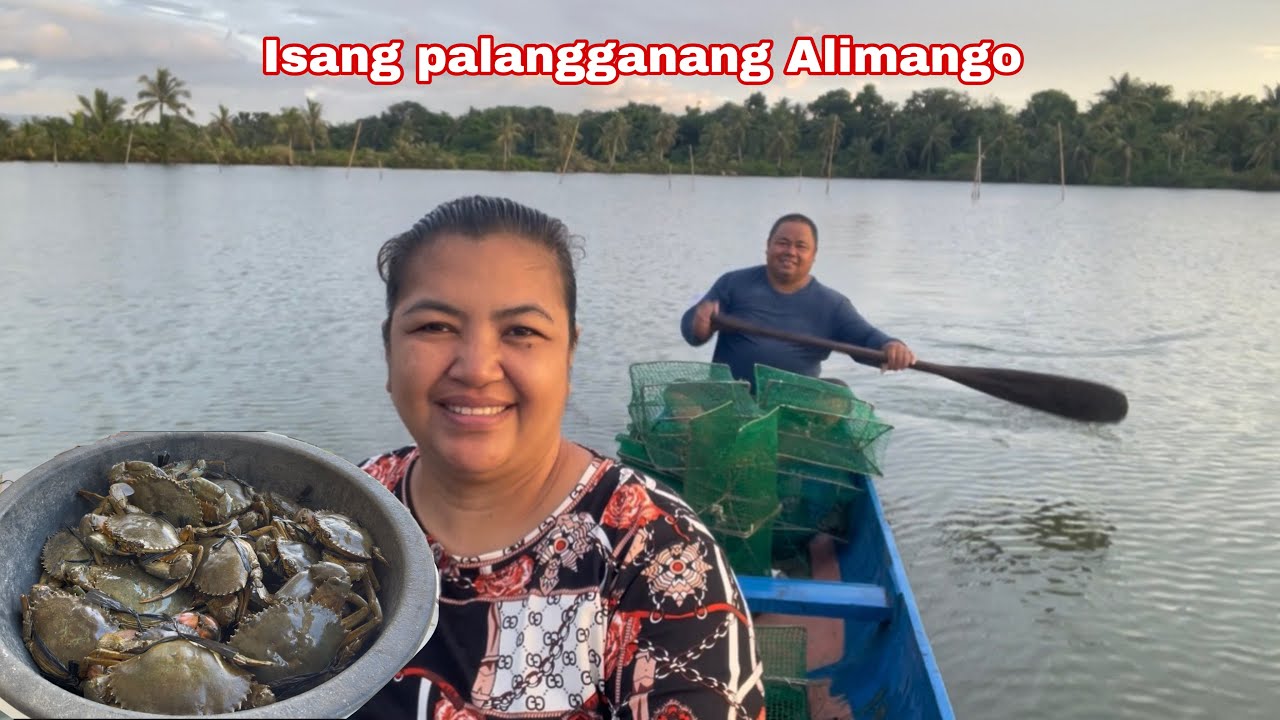 Isang palangganang Alimango ang huli namin sa pamamandaw - YouTube