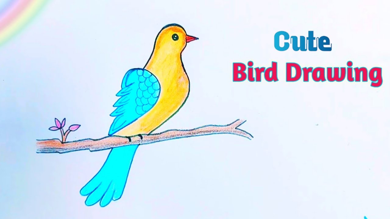 How To Draw a Bird | Birds Drawings | Bird ka chitra | Bird Banana ...