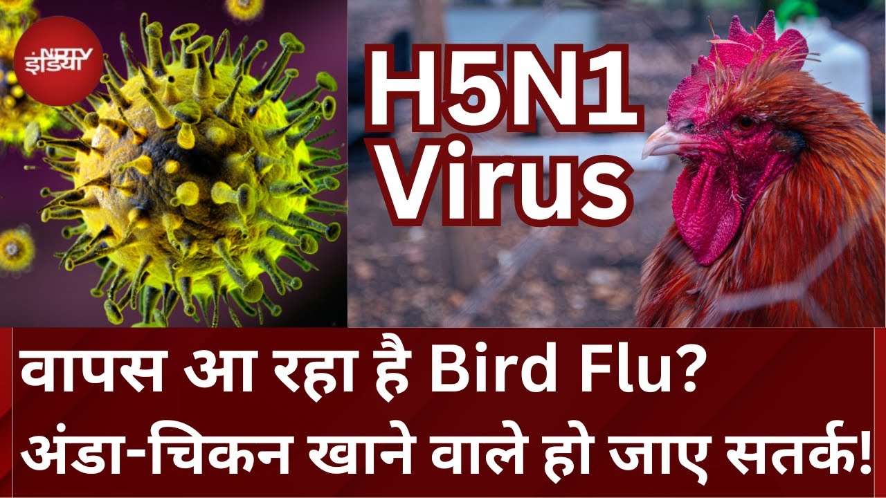 Bird Flu का Jharkhand में प्रकोप, कहां मिला Case, जानें क्या-क्या ...
