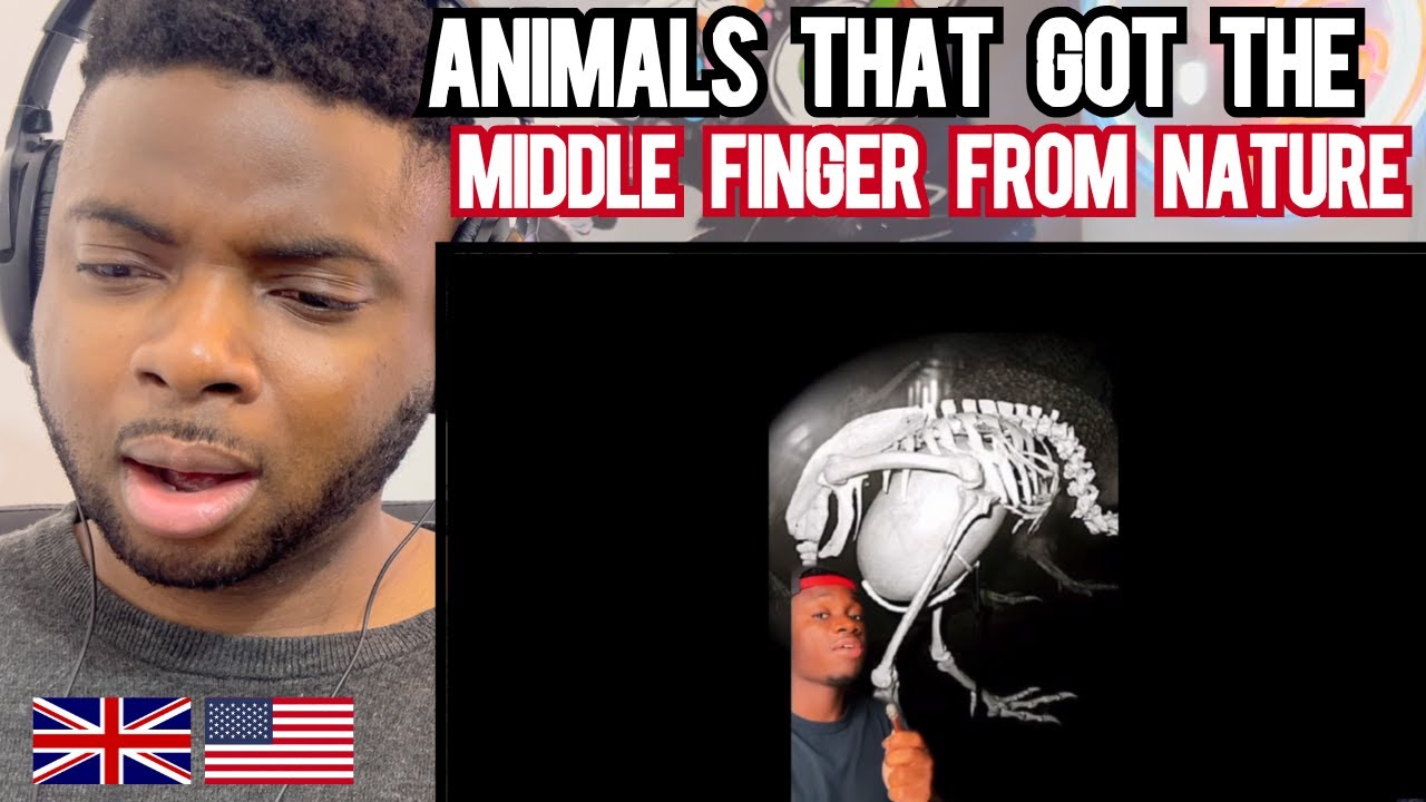 Brit Reacts To ANIMALS THAT GOT THE MIDDLE FINGER FROM NATURE - YouTube