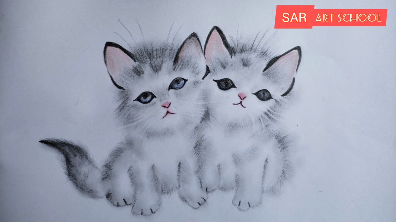 How to draw two cats | sketch | realistic - YouTube