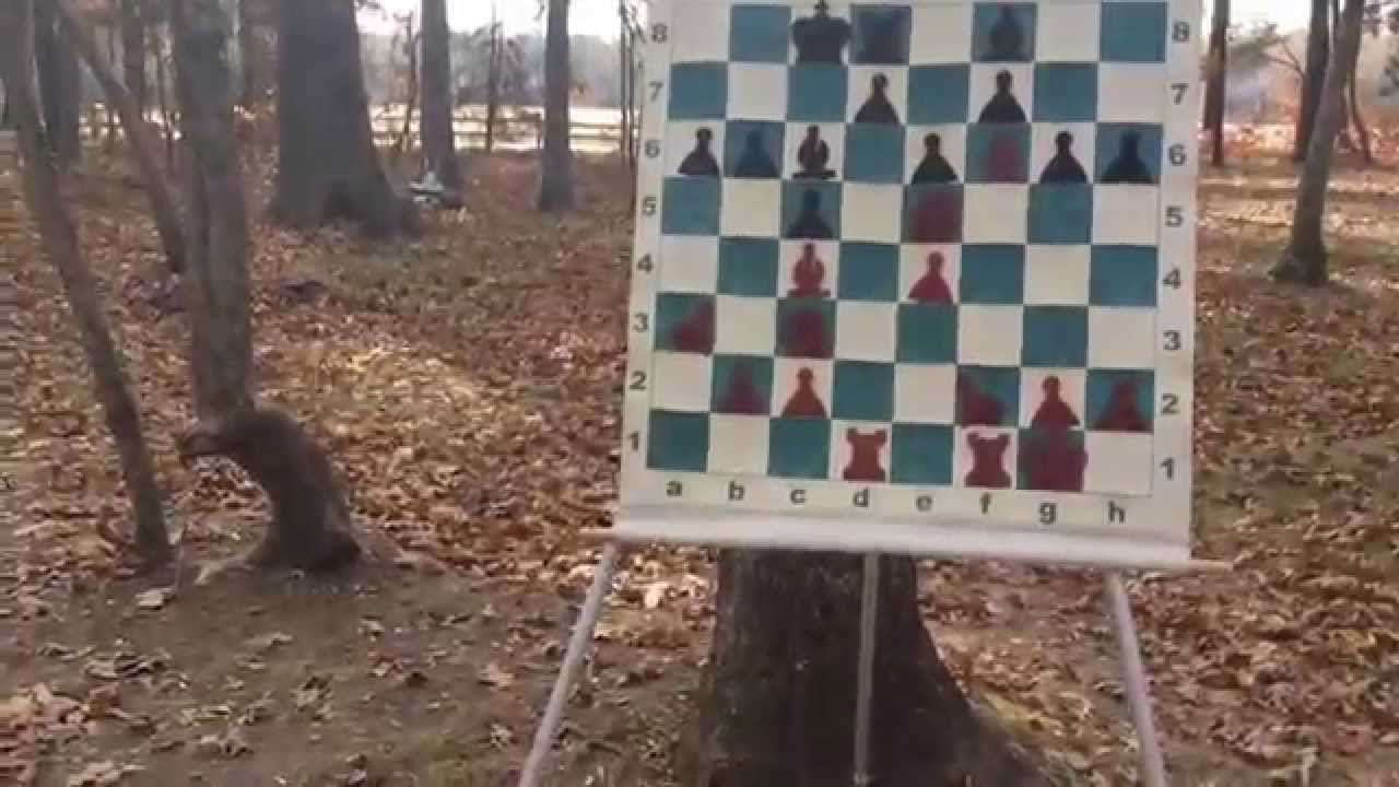 Mixing Chess & Basketball! - YouTube