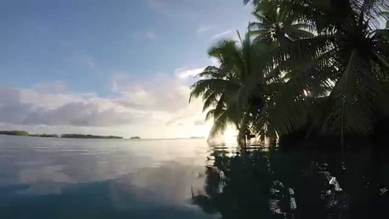 Palmyra Atoll - YouTube