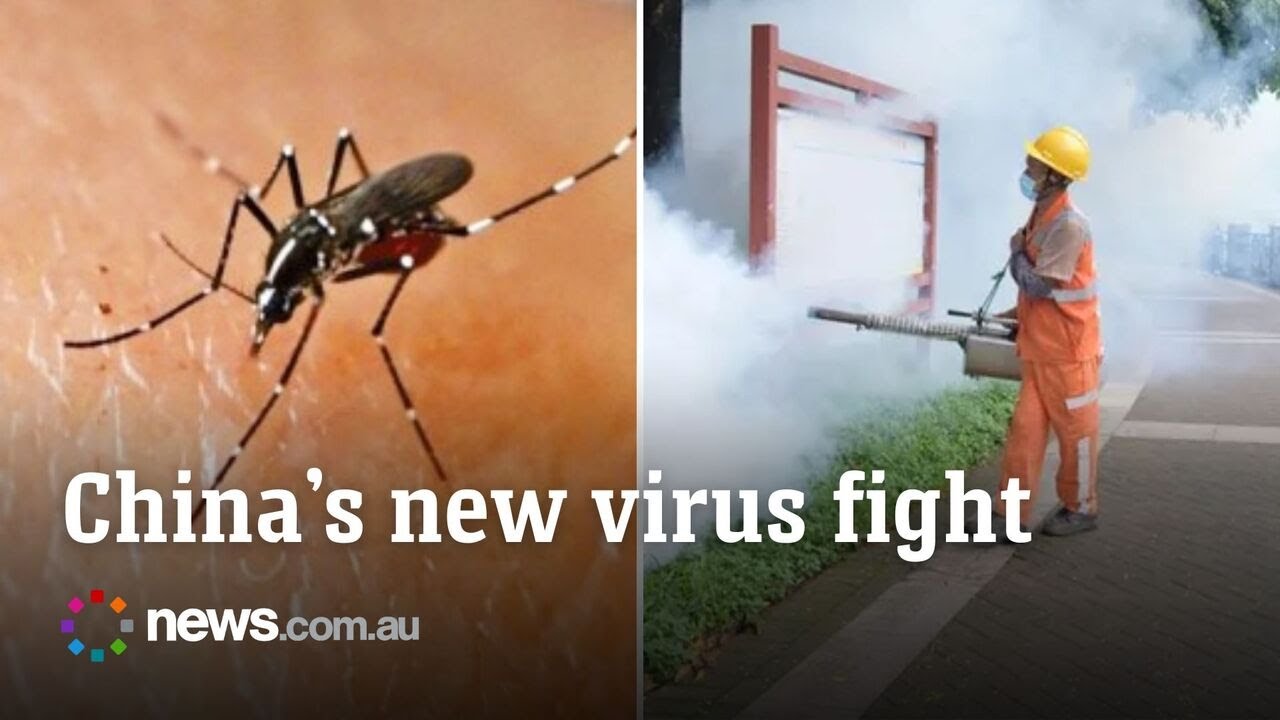 Thousands infected in China as mosquito virus explodes - YouTube