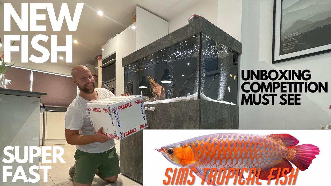 UNBOXING NEW FISH FROM SIMS TROPICAL FISH WHAT DID I GET??? PLUS ...