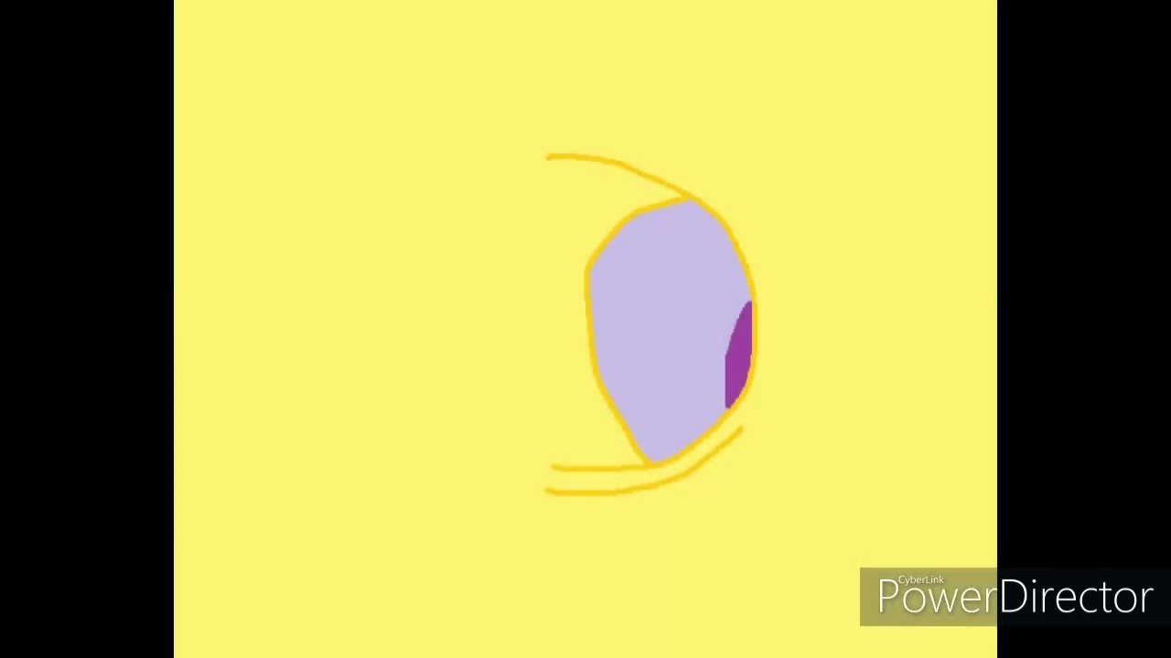 Tails Playing with Leo's belly button Animated - YouTube