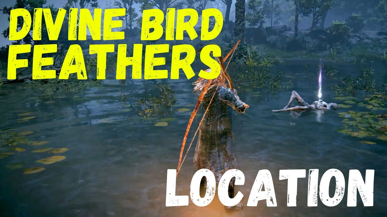 Elden Ring: Where to find the Divine Bird Feathers Incantation in ...