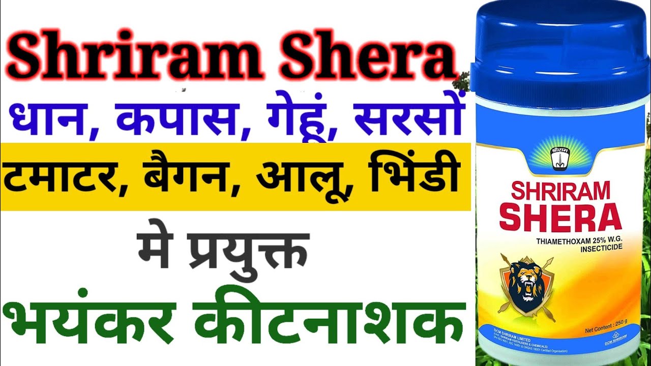 Shriram Shera insecticide // सरसों और गेहूँ के लिए powerful Kitnashak ...