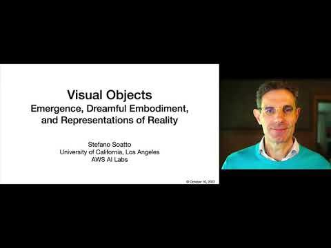 Visual Objects: Their Emergence, Representation, and Embodiment - YouTube