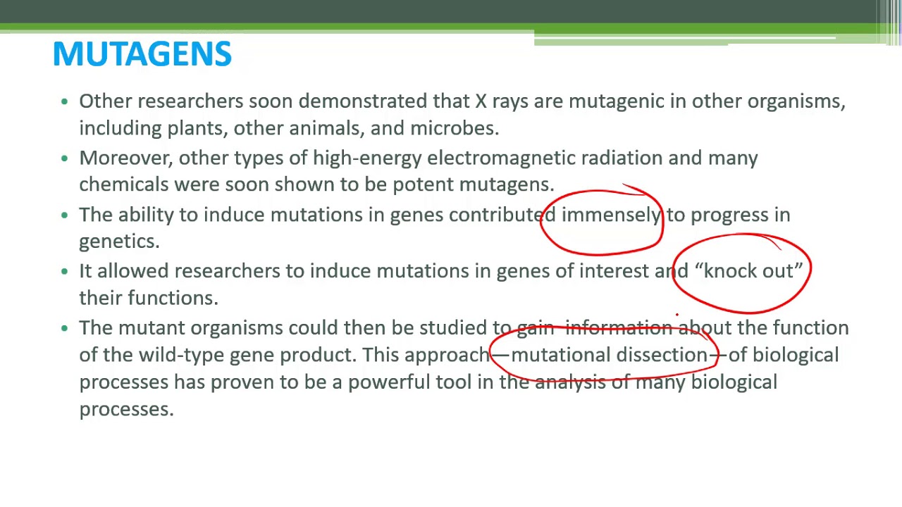 GENE MUTATION - INDUCED MUTATIONS MUTAGENS PART-I - YouTube