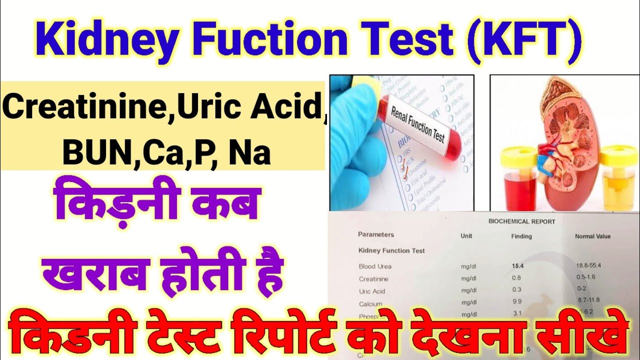 KFT(Kidney Function Test) Report. किडनी की रिपोर्ट कैसे समझे ...