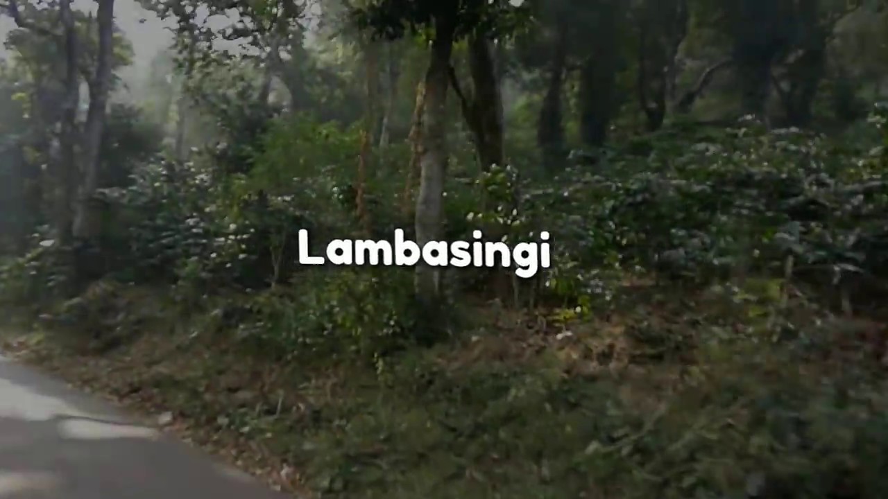Lambasingi- must visit place of Andhra - YouTube