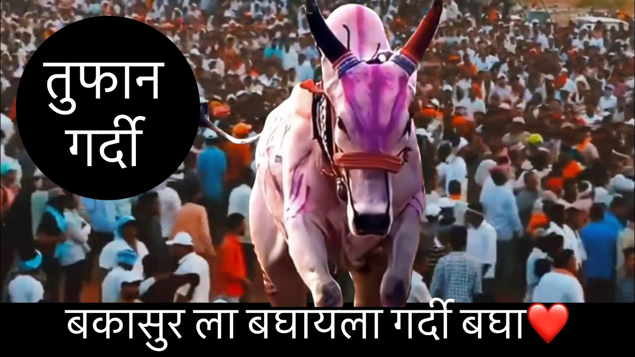 हिंदकेसरी बकासुर ला बघण्यासाठी गर्दी पहा । Public king bakasur ...