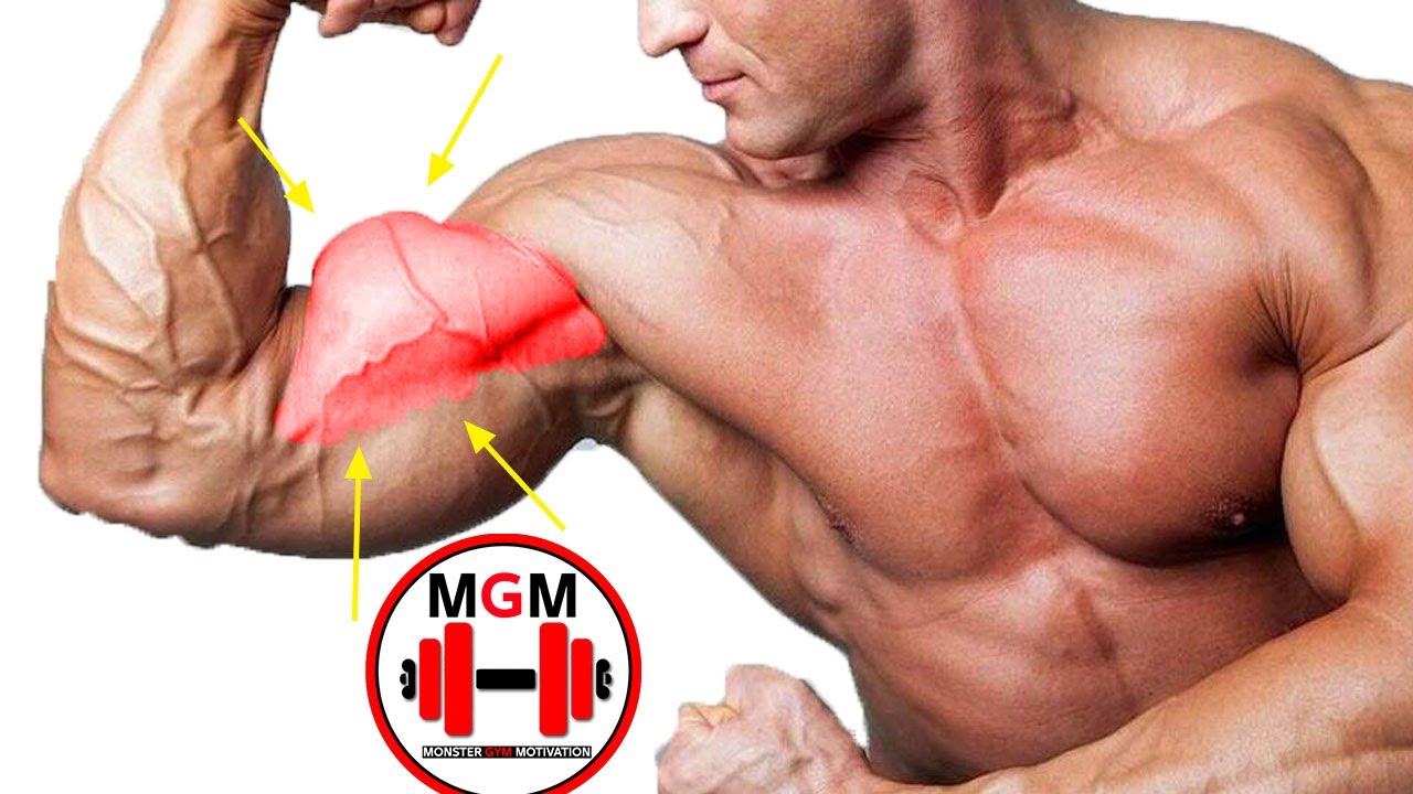 Grow The Biceps that you Like with this 6 Exercises - YouTube