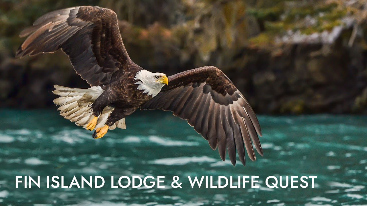 Fin Island Lodge & Wildlife Quest | Shore Excursion | NCL - YouTube