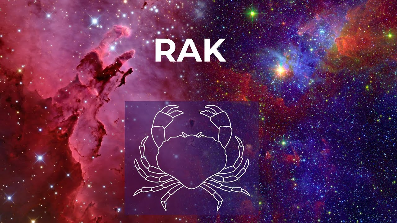 Rak - charakterystyka znaku zodiaku - YouTube