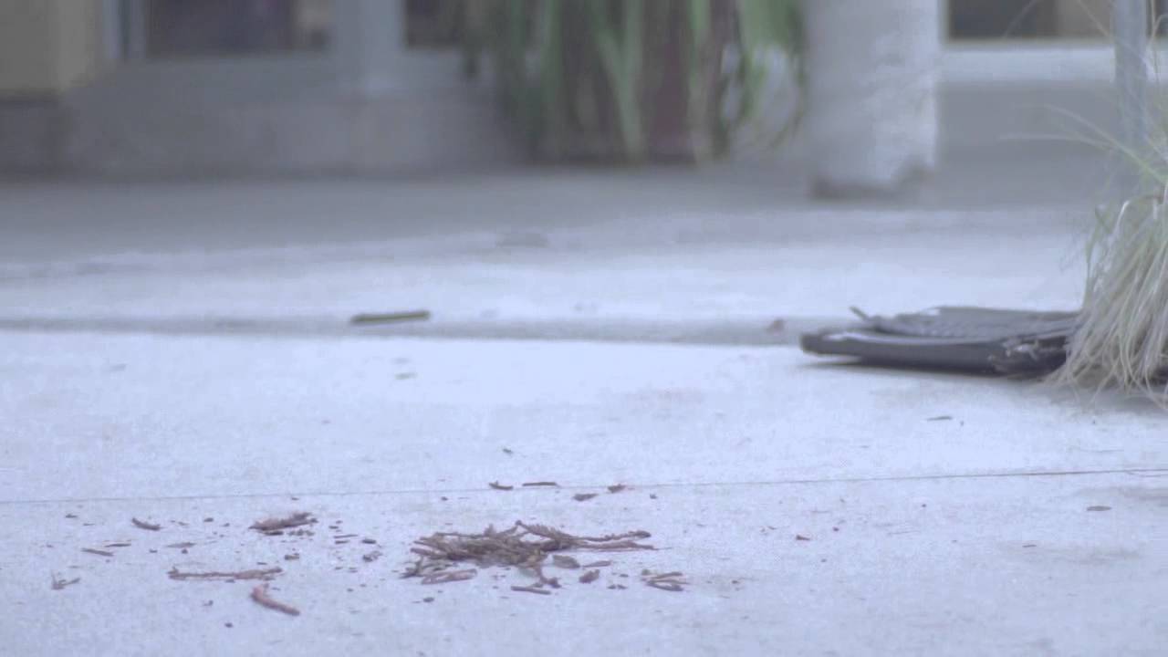 breaking laptop - YouTube