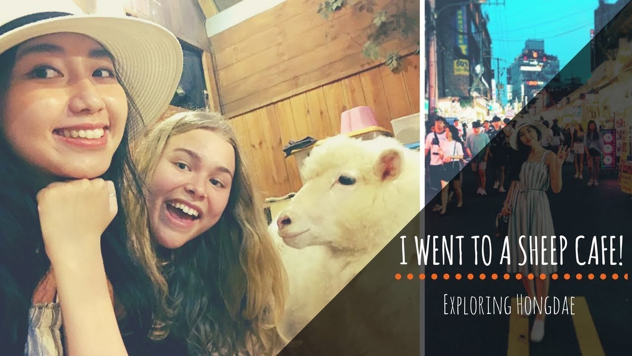 I explored Hongdae (홍대) ~ Kandy Goes to Seoul Vlog Ep. 3 | KandyKane ...