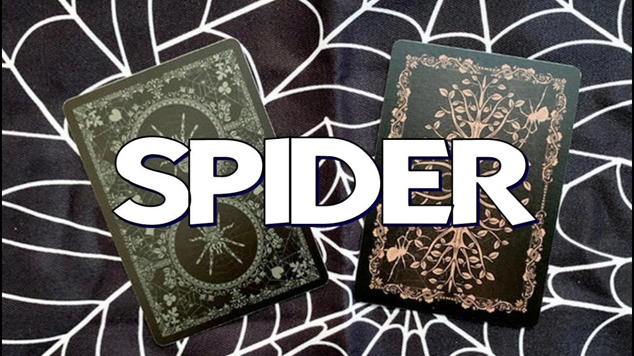 Deck Review - Spider Playing Cards - YouTube