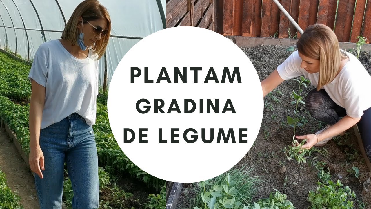 PLANTAM GRADINA DE LEGUME - YouTube