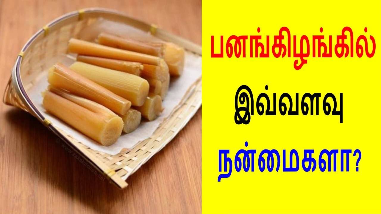 Panakilanku Benefits in Tamil | Panam Kizhangu | Akilathirattu - YouTube