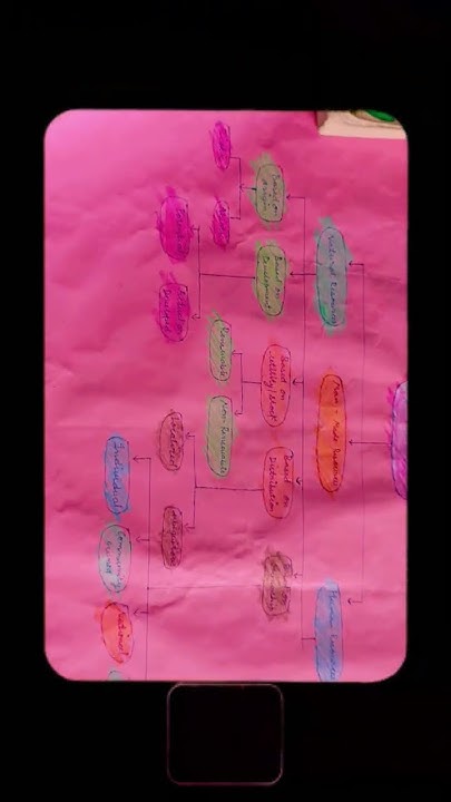 A chart of types of all resources in flow chart class 8 - YouTube