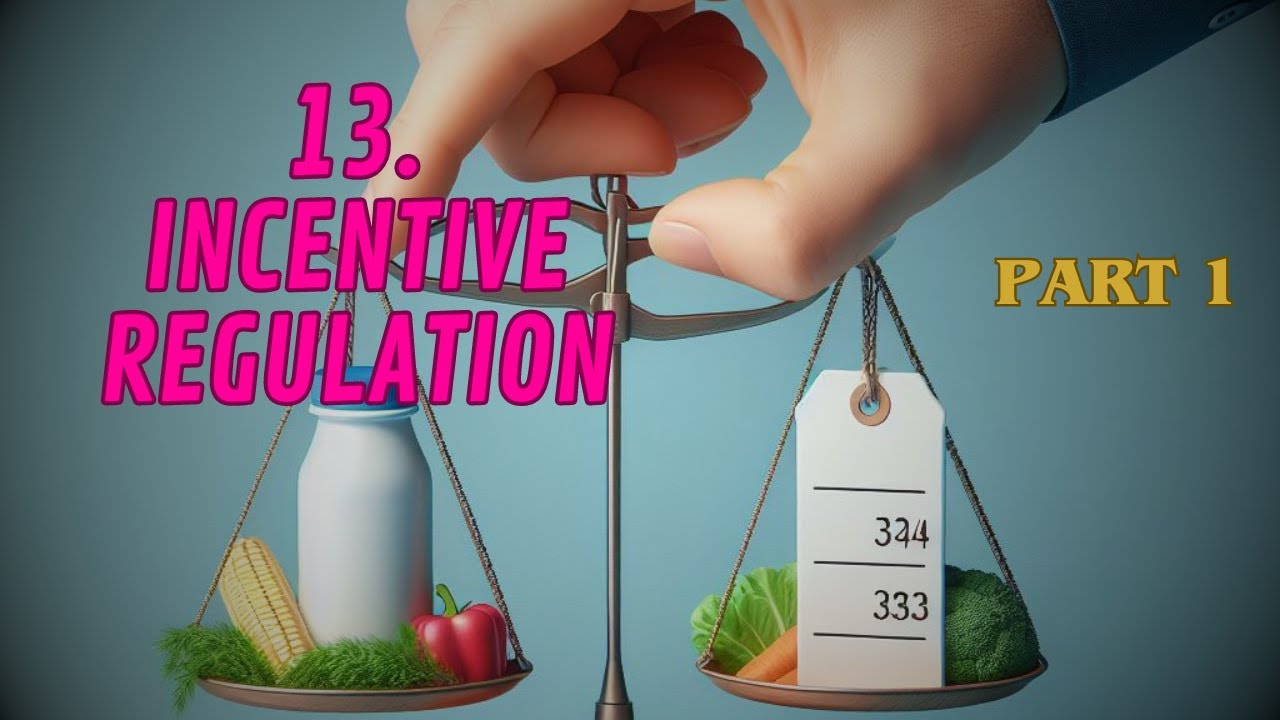 Incentive Regulation CH 13 1 - YouTube