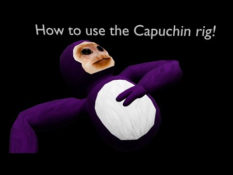 How To Use The Capuchin Rig! - YouTube