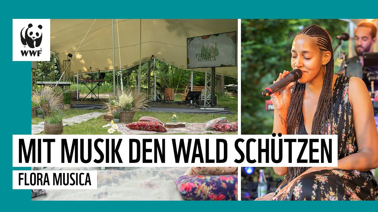 Das Flora Musica Waldkonzert - YouTube