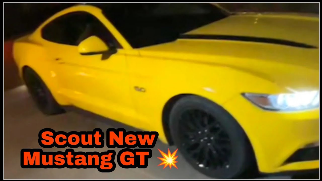 Scout And Mavi New Mustang GT || Scout Insta Live💫 - YouTube