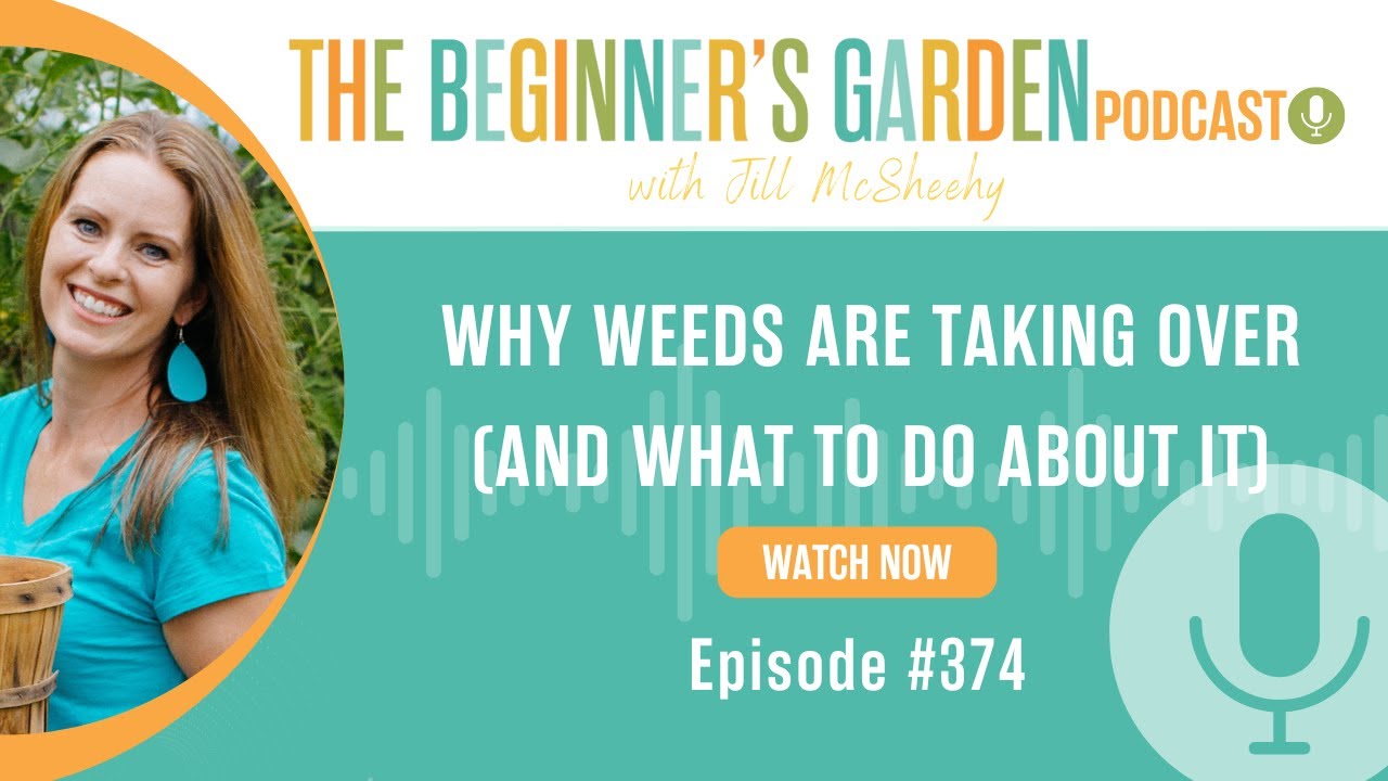 Why Weeds are Taking Over (and what to do about it) - YouTube