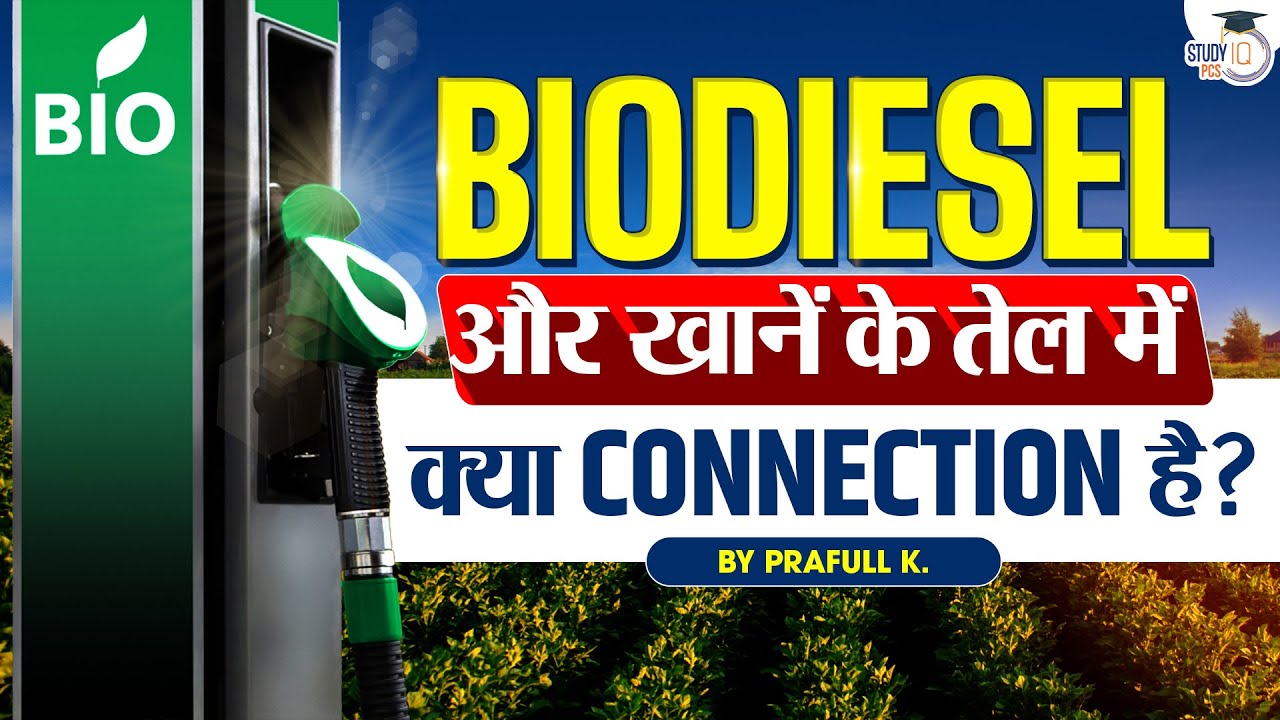 Biodiesel Production in India | Science and Technology | By Prafull Sir ...