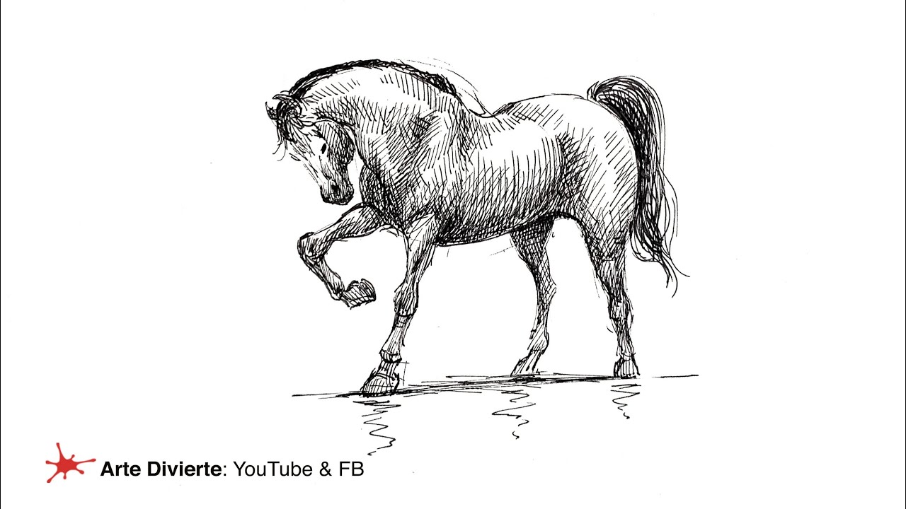 CÓMO DIBUJAR UN CABALLO - Boceto con pluma estilográfica - YouTube