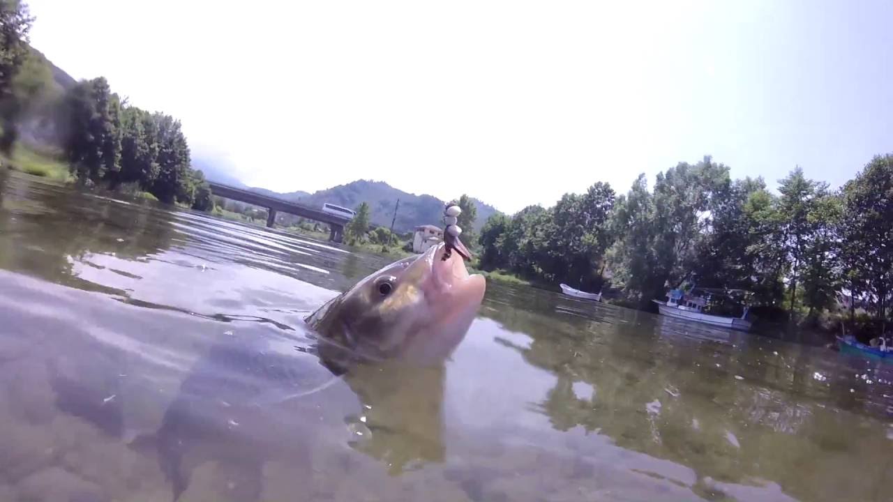 Fly fishing Turkey in Ordu - YouTube