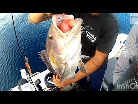 ΟΤΑΝ ΤΑ ΨΑΡΙΑ ΕΧΟΥΝ ΚΕΦΙΑ 75' ΕΙΝΑΙ ΑΡΚΕΤΑ 🎣🔝 @GeorgePrasinos - YouTube